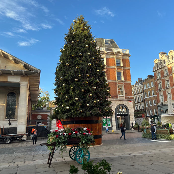 Finest Japanese Knives & Professional Sharpening Services – KATABA ...